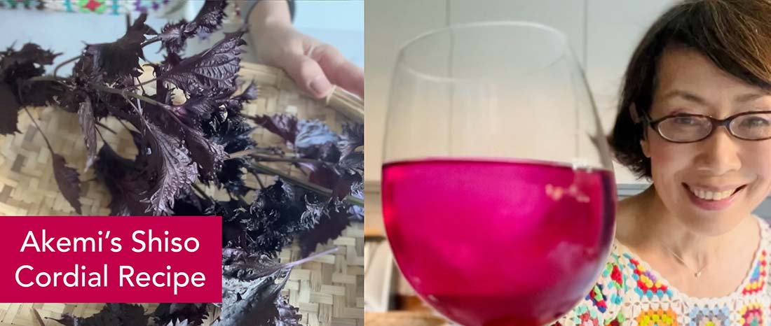 How to Use Shiso Leaves – The Wasabi Company