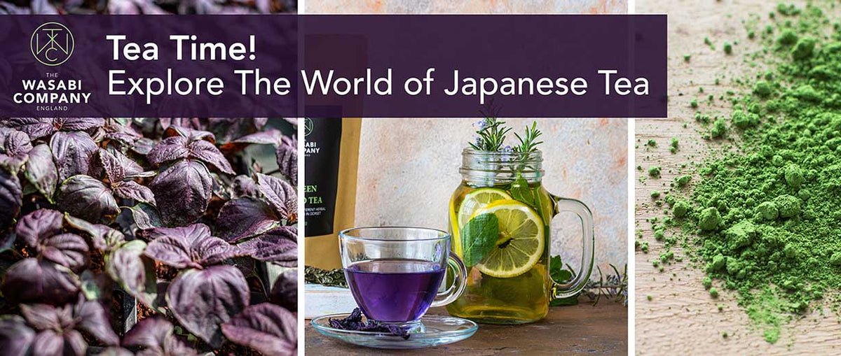 Shiso Tea Grown On Our Farm PLUS 15% OFF Matcha! – The Wasabi Company