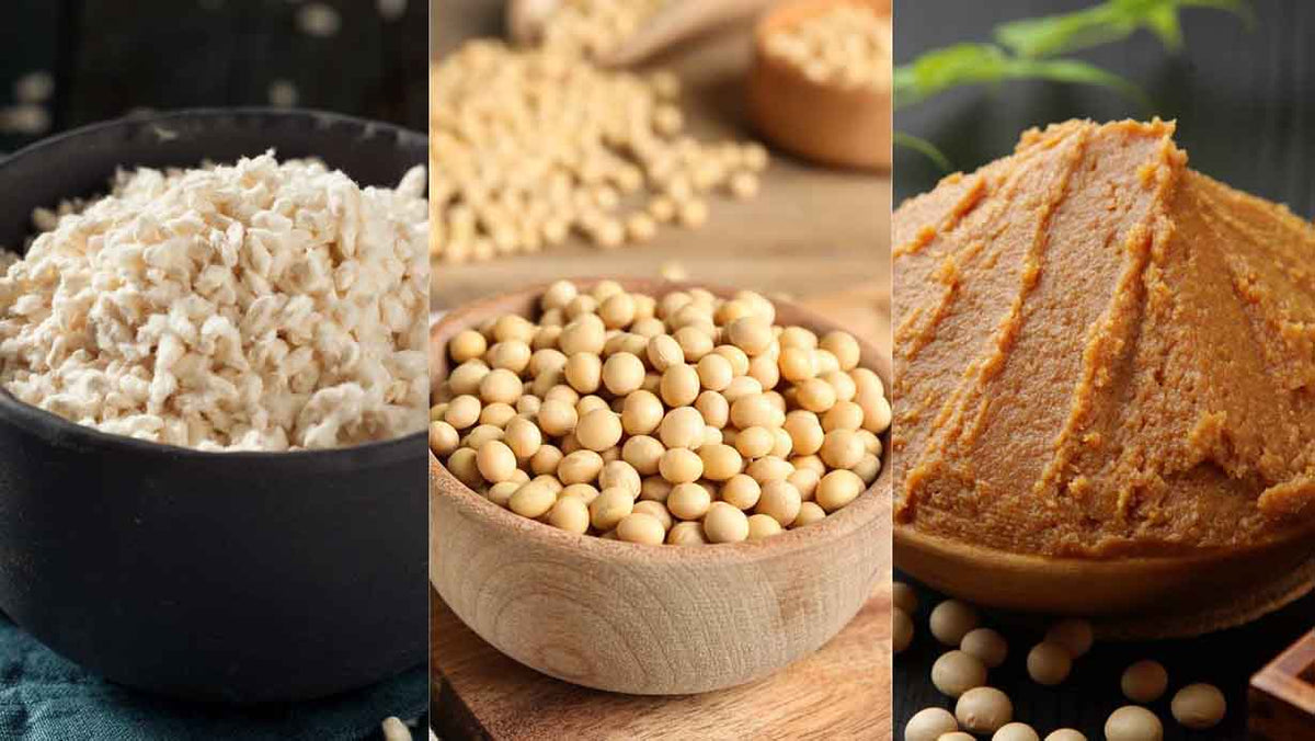 MISO CONFUSED? Everything You’ve Ever Wanted to Know About Miso – The ...