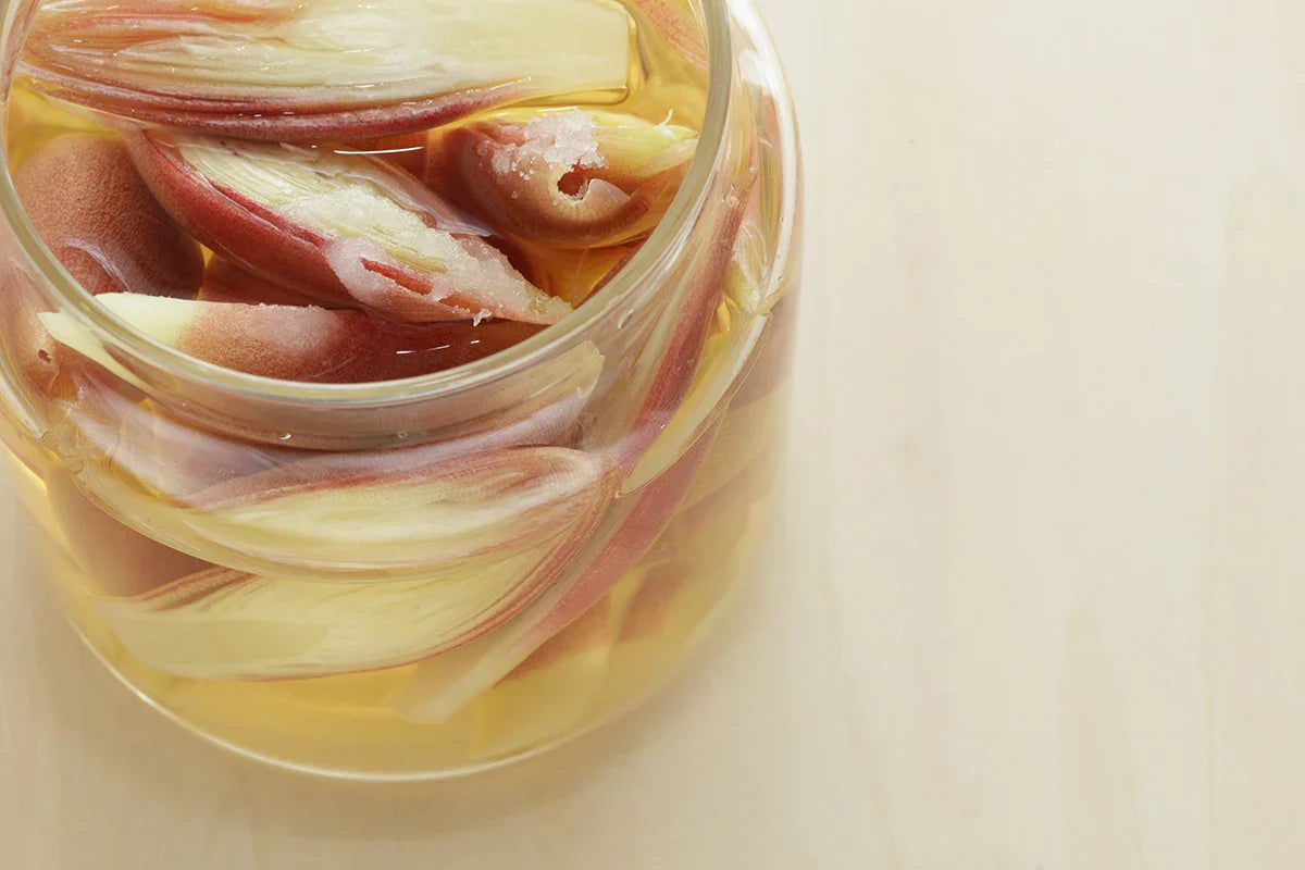 Pickled Myoga Ginger | Recipe | The Wasabi Co – The Wasabi Company