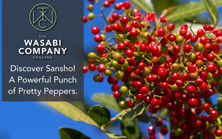 Sansho Sansho Sansho Show! – The Wasabi Company