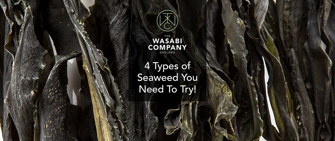 4 Types Of Seaweed & Why You Should Try Them – The Wasabi Company