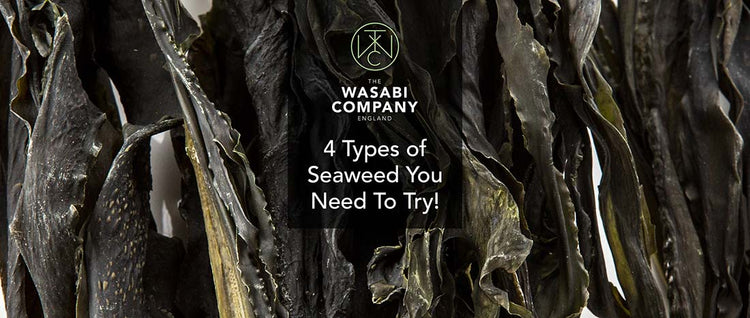 4 Types Of Seaweed & Why You Should Try Them – The Wasabi Company