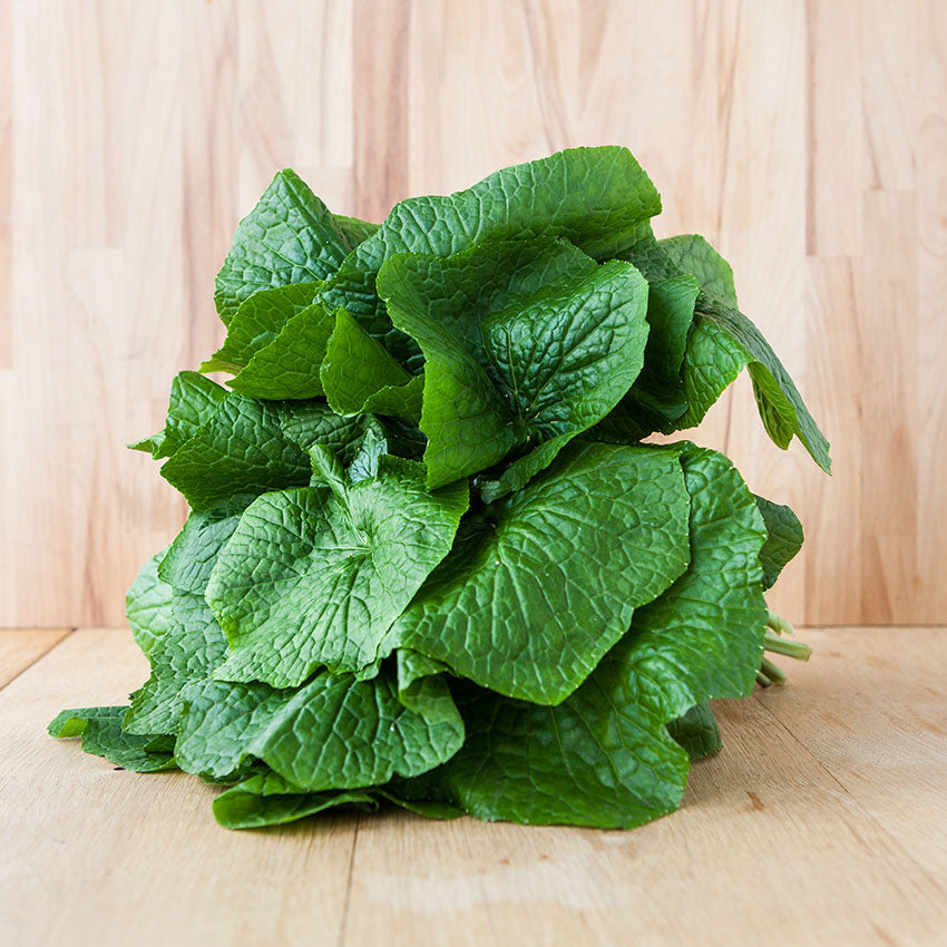 Japanese Plants, Fresh Wasabi, Seeds and Citrus | The Wasabi Company
