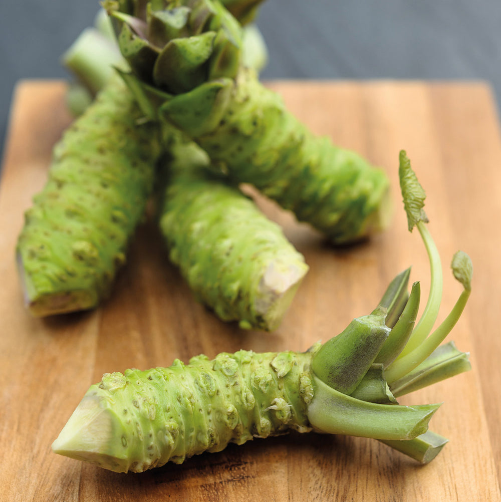 The Wasabi Company | Fresh Wasabi UK Grown | Japanese Ingredients
