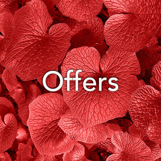 The Wasabi Company | Fresh Wasabi UK Grown | Japanese Ingredients