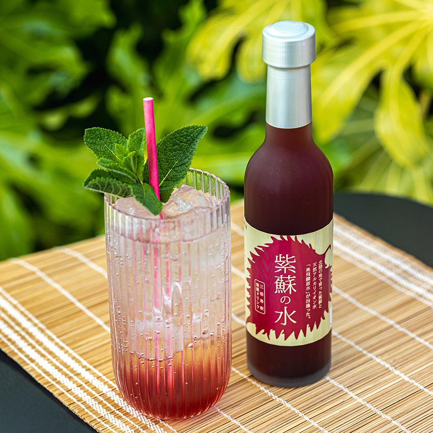 Japanese Syrups | Yuzu, Ginger & More | The Wasabi Company