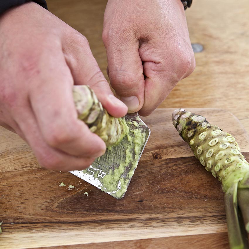 Japanese Wasabi | Roots & Rhizomes | The Wasabi Company