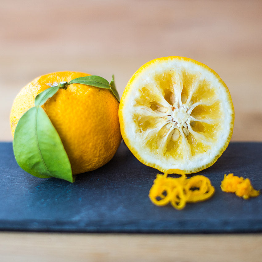 The Wasabi Company | Fresh Wasabi UK Grown | Japanese Ingredients