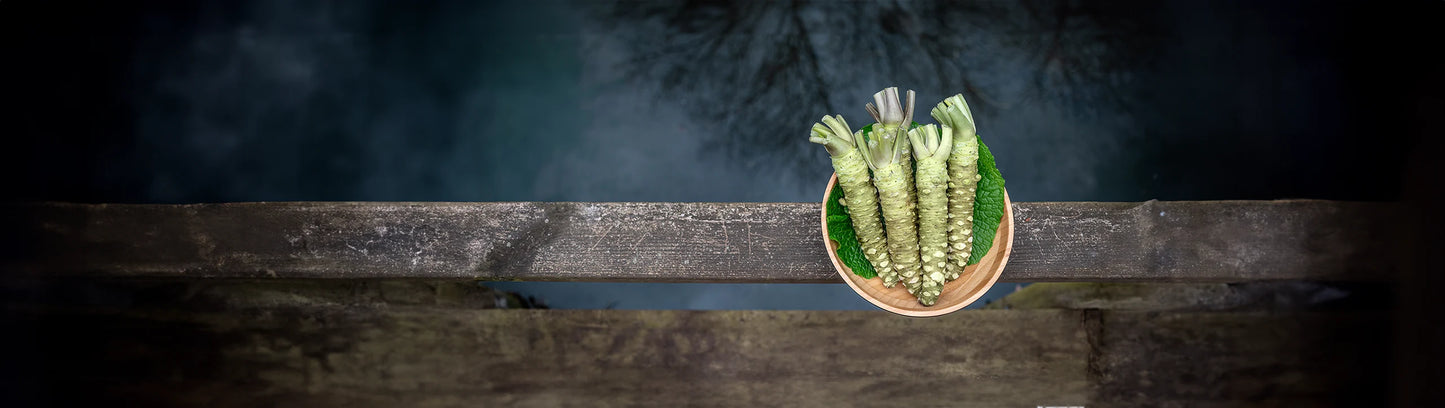 The Wasabi Company | Fresh Wasabi UK Grown | Japanese Ingredients