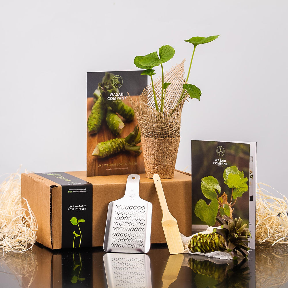 Fresh Wasabi Pro & Grow Kit | The Wasabi Company