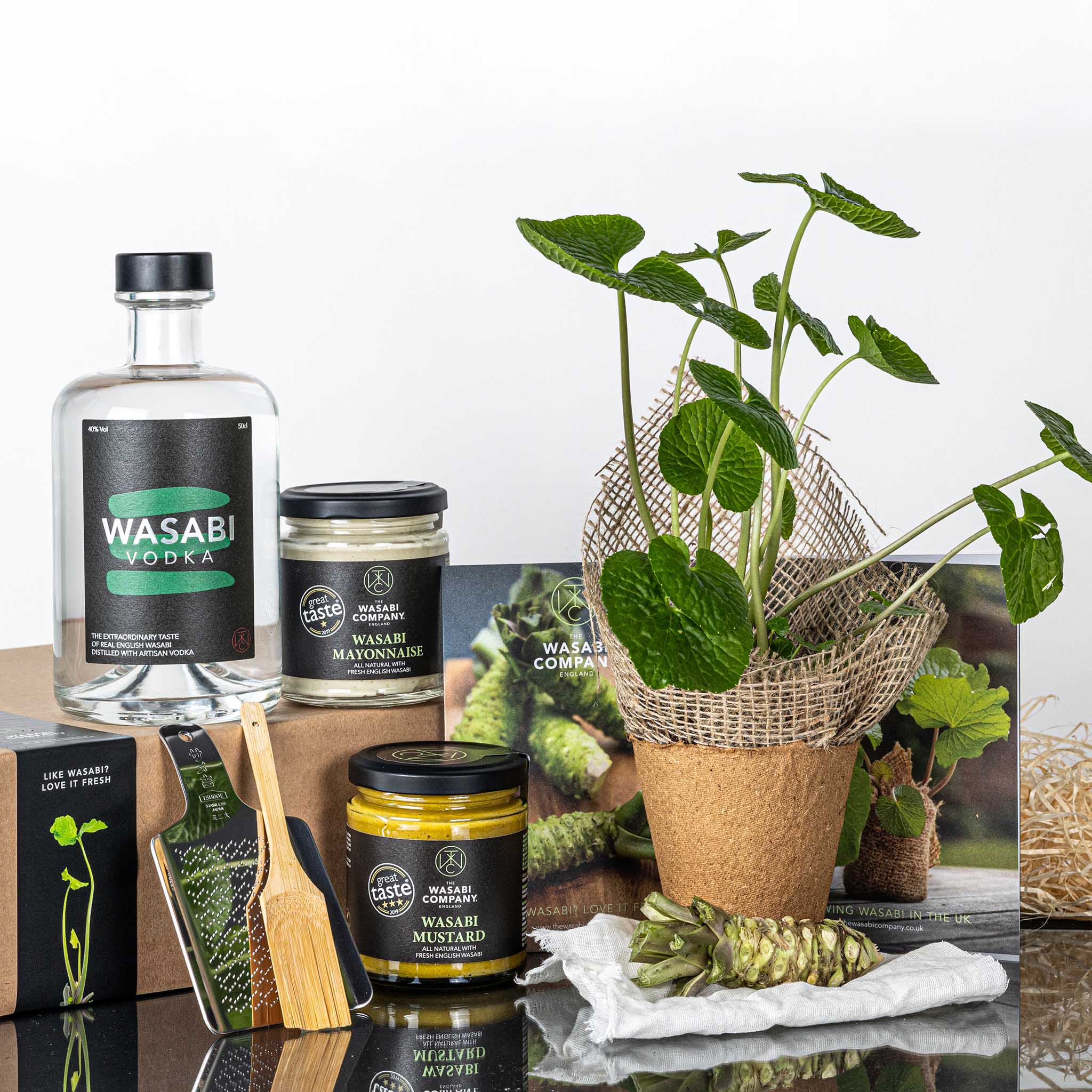 How To Grow Your Own Wasabi Plants At Home | Journal – The Wasabi Company