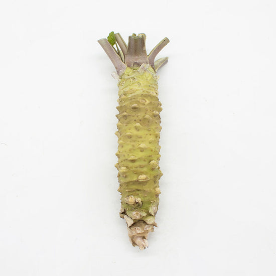 Real Wasabi vs Fake Wasabi: How to Tell the Difference | Journal – The ...