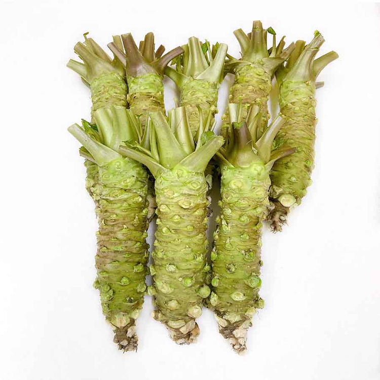 All Fresh Wasabi Products and More | The Wasabi Company