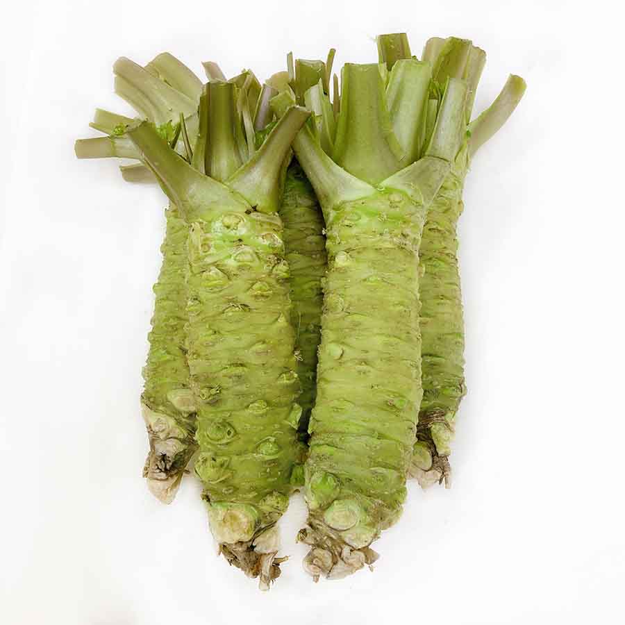 All Fresh Wasabi Products and More | The Wasabi Company